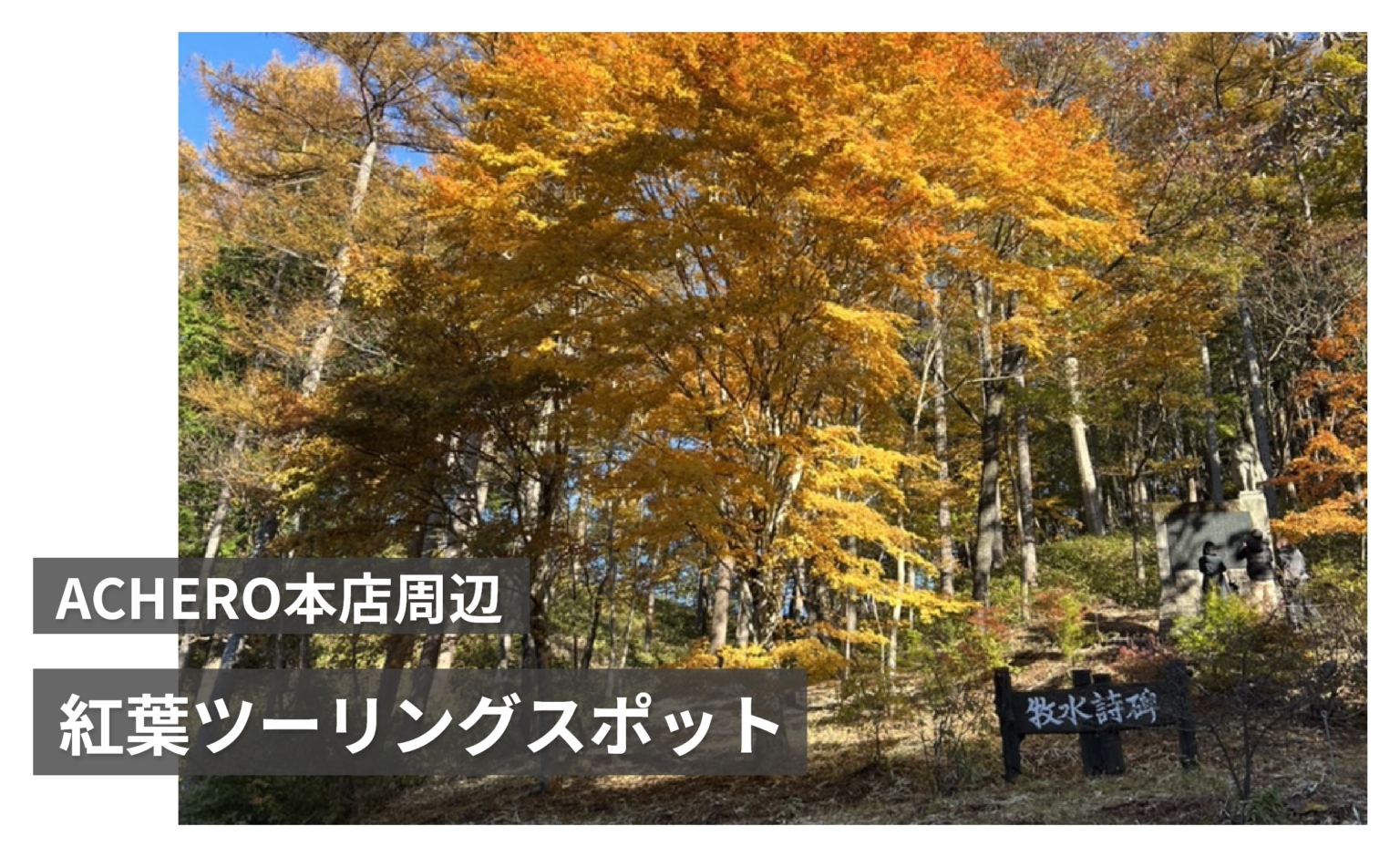群馬県中之条町の美味しいランチ店6選【アチーロ本店から15分以内】 - アチーロブログ